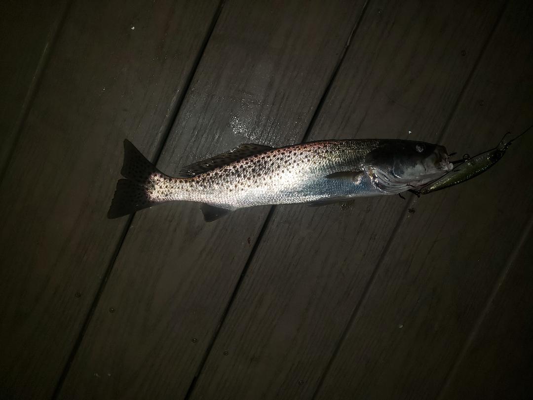 Product Review: Baker Lures - 727 Angler