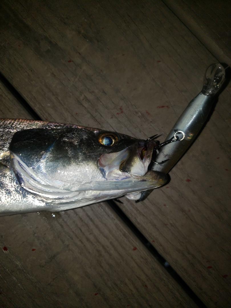 Product Review: Baker Lures - 727 Angler